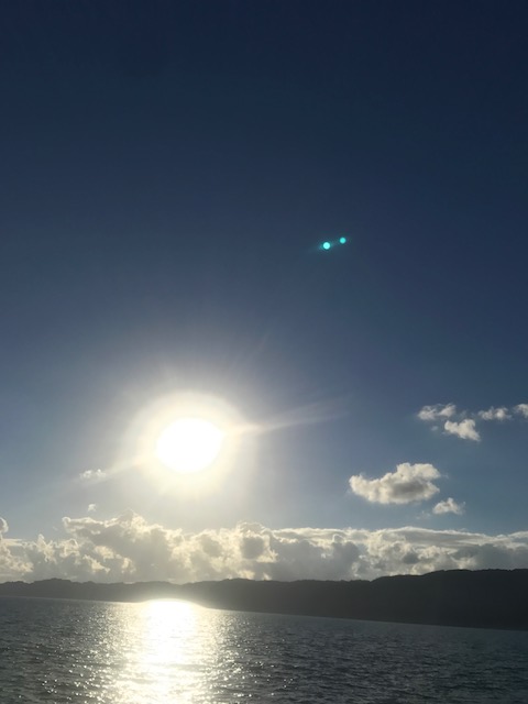 20170924-IMG_1741 (004) | ZOOL